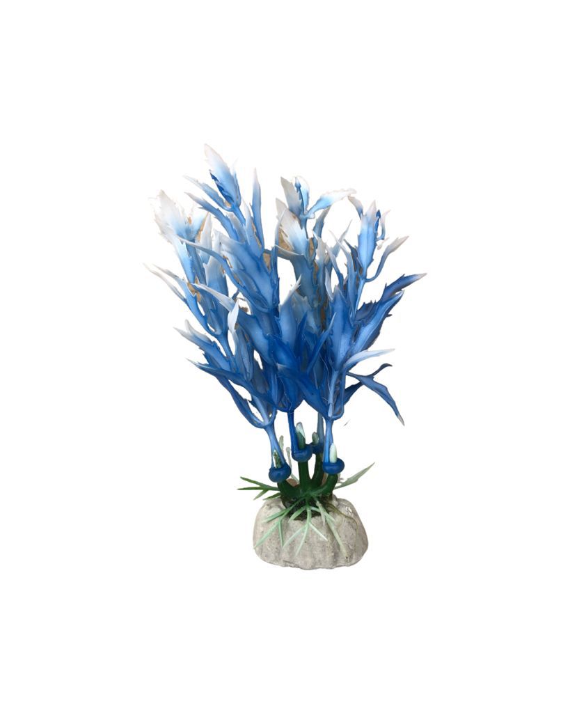 White Blue Plastic Plant – The Fish Guy