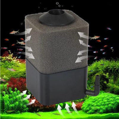 Antopie Sponge And Biological Filter – The Fish Guy