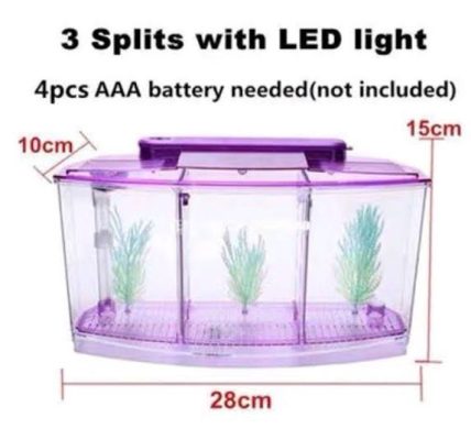Betta Bow Fish Tank, 3 TANK KIT – The Fish Guy