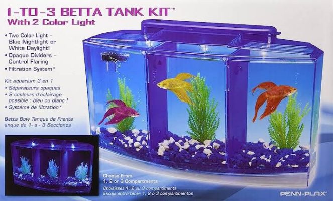 Betta Bow Fish Tank, 3 TANK KIT – The Fish Guy